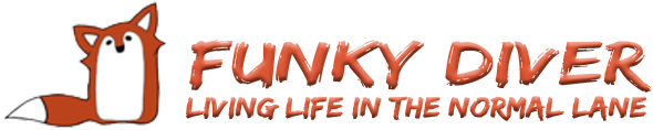 logo – Funky Diver